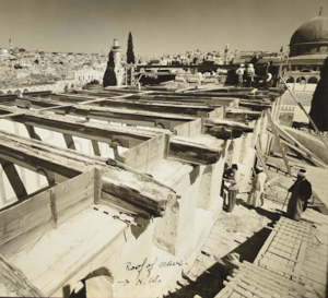 Temple Mount Sifting Project - The Temple Mount Sifting Project