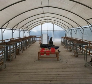 Temple Mount Sifting Project - The Temple Mount Sifting Project